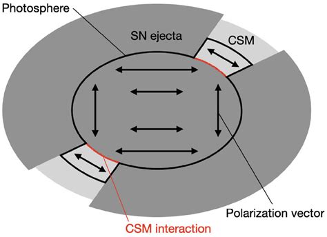 schematic presentation of the continuum polarization in sn 2013ej
