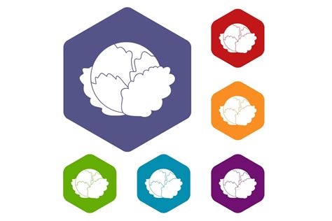 Cabbage Icons Set Graphic By Ylivdesign · Creative Fabrica