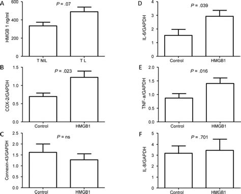 Placental Membrane Aging And Hmgb1 Signaling Associated With Human Parturition Figure F4 Aging