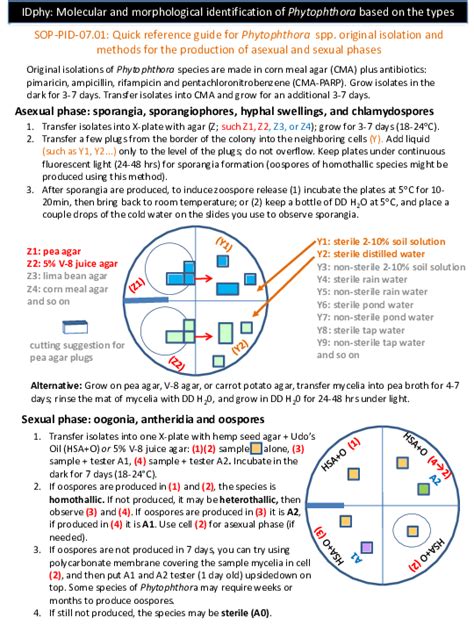 Pdf Idphy Molecular And Morphological Identification Of Phytophthora Based On The Types