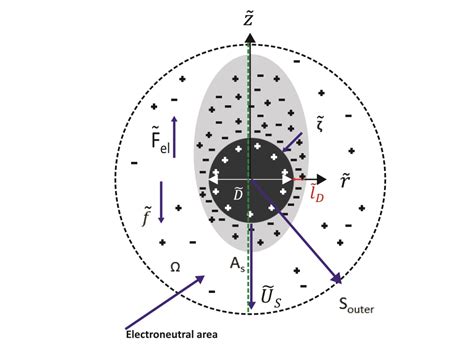 Figure 8 1 From Sedimentation Of A Spherical Particle In An Electrolyte Viscoelastic Solution