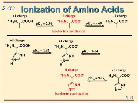 Amino Acid Ionization Chart At Daniel Friday Blog