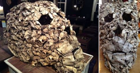 တိရစ္ဆာန်များရဲ့ ဦးခေါင်းခွံများဖြင့် လုပ်ထားတဲ့ ရှေးဟောင်း ဧရာမအရိုးခေ