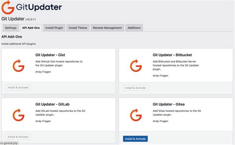 Api Plugins Git Updater