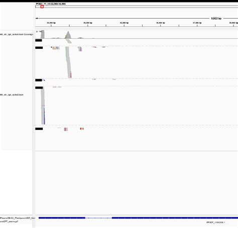 tag labels blacked out in igv batch snapshot for png · issue 1310