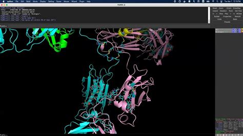 pymol youtube