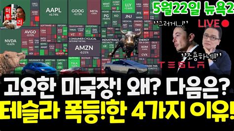 미국주식시황오늘 왜 올랐나 테슬라 폭등한 4가지 이유엔비디아 구글 애플 아마존 메타 마이크로소프트 리비안 소파이 팔란티어