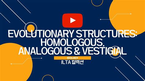 Youtube Poster Image Ilta Collection Biology Evolutionary Structures