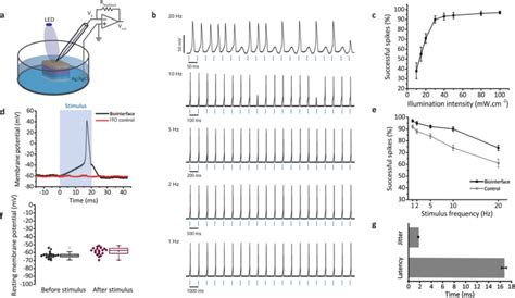 11 A Patch Clamp Electrophysiology Measurement System B Neural Download Scientific Diagram