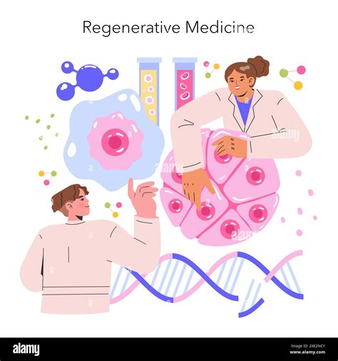 Future Medicine Concept Scientists Engage With Cell Regeneration And