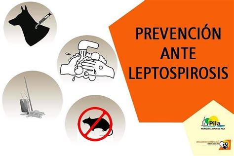 Campaña De Prevención De Leptospirosis Municipalidad De Pila