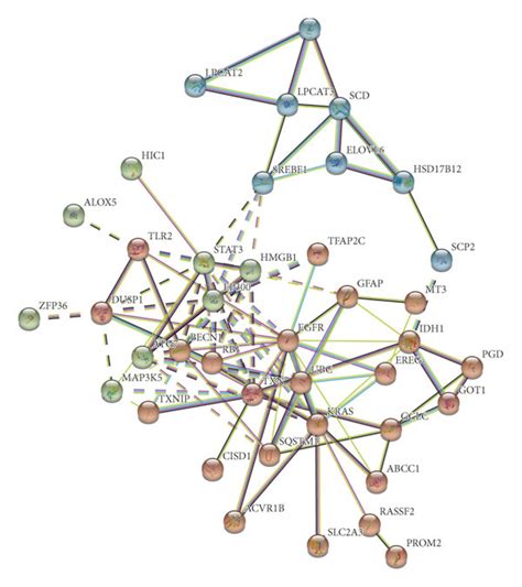 Function Enrichment Analysis And Ppi Network Of Frgs A Go And Kegg