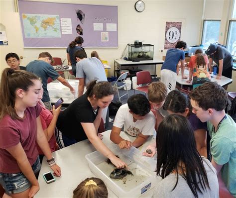 Marine Biology Boston Leadership Institute
