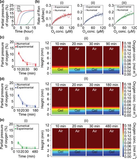 Figure 2 From The Design Of Dextran Based Hypoxia Inducible Hydrogels