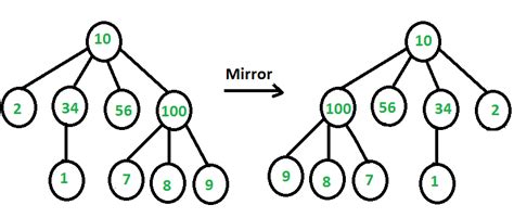 convert n ary tree to binary tree 30 pages answer [3 4mb] updated timothy books chapter