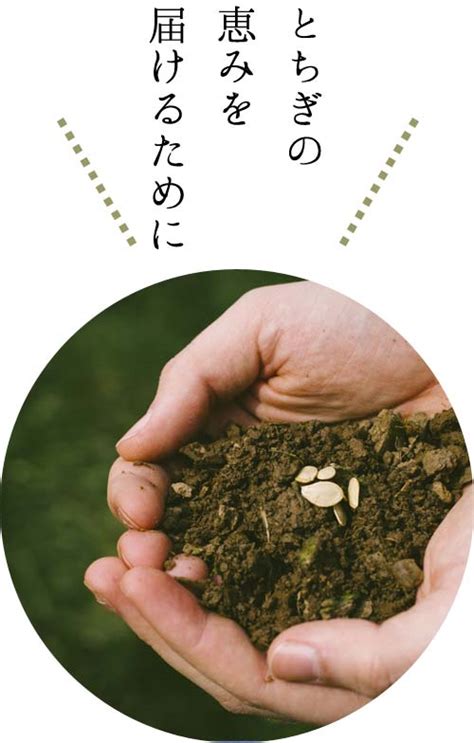 一般財団法人 栃木市農業公社