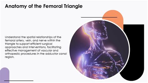 Adductor Canal Femoral Triangle Ppt Outline Acp Ppt Slide
