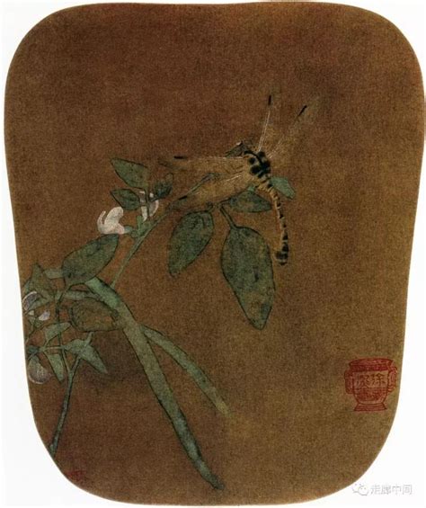 佚名豆花蜻蜓圖 每日頭條