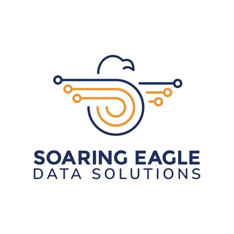 Soaring Eagle Data Solutions Youtube