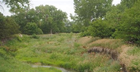 What Is A Riparian Forest Buffer The Seam