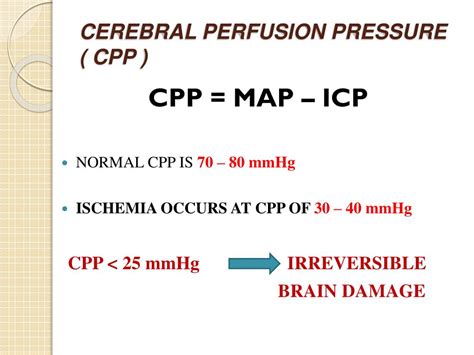 Ppt Brain And Anesthesia Powerpoint Presentation Free Download Id6513989 Ppt Brain And Anesthesia Powerpoint Presentation Free Download Id6513989