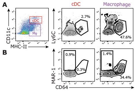 Multiparameter Flow Cytometric Analysis Of The Conventional And Monocyte Derived Dc Compartment