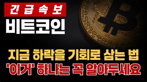 비트코인 전망 지금 하락을 기회로 삼는 법 이거 하나는 꼭 알아두세요 Youtube
