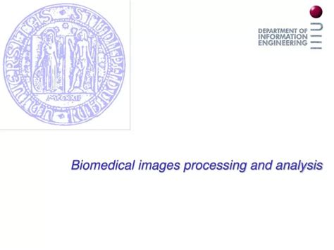 PPT Biomedical Images Processing And Analysis PowerPoint Presentation