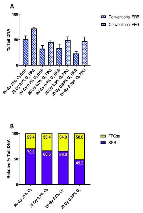 A Alkaline Comet Assay Measures Of Dna Damage Formation Tail Dna