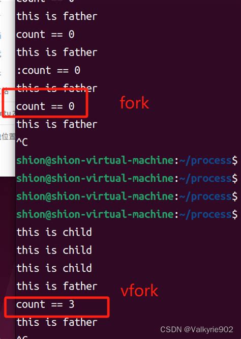 Linux进程——vfork函数linux Vfork Csdn博客