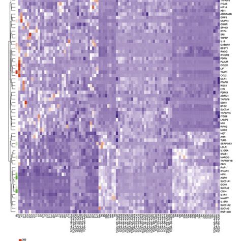 Genes Involved In The Inflammatory Response Have Been Identified As Download Scientific Diagram