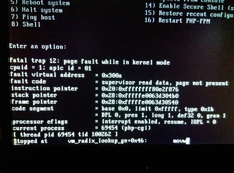 [[solucionado]] fatal trap 12 page fault while in kernel mode