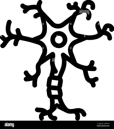 Neuron Structure Neuroscience Neurology Line Icon Vector Neuron