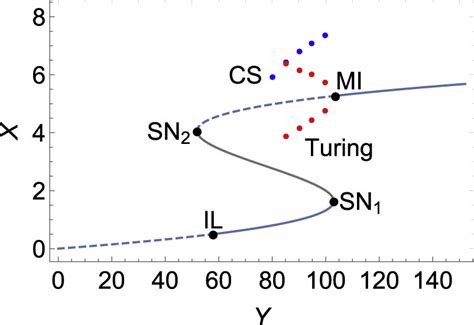 Homogeneous Solution