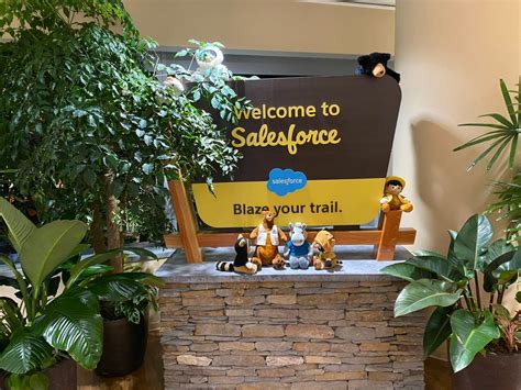 salesforce tips 35 launch a flow via button salesforce tips