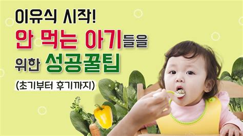 이유식 잘 먹이는 법과 이유식 거부 극복 꿀팁 Part1 Youtube