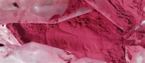 Red Beetroot Powder At ₹ 100kg In New Delhi Id 2852257526712