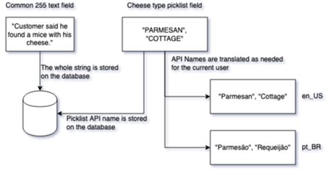 Translation Why Does The Like Soql Operator Implicitly Translate