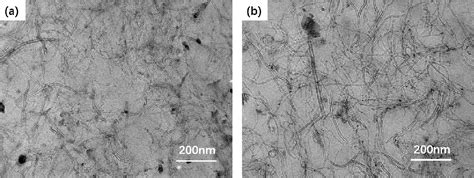 Figure 1 From Electromagnetic Shielding Enhancement Of Butyl Rubbersingle Walled Carbon