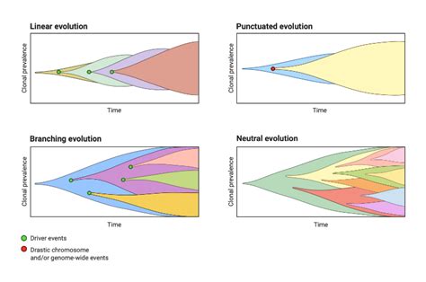 Cancer Evolution Biorender Science Templates