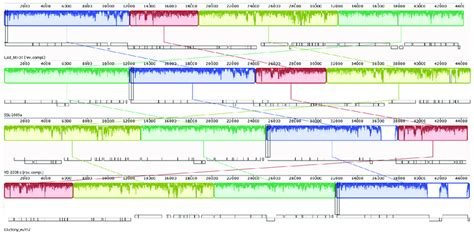 Whole Genome Alignment Of The Phage Uaemi 01 And Three Phage Genomes