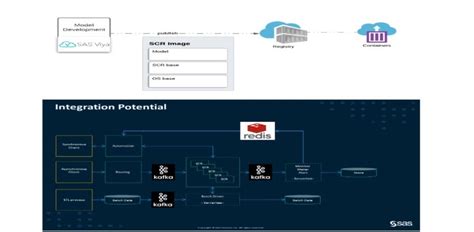 Deploy Sas Models On The Cloud With Sas Container Runtime