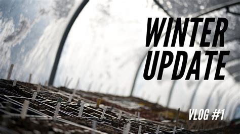 Winter Update Youtube