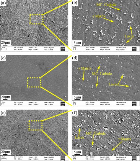 Sem Micrographs Of The Laser Additive Manufactured In718 Superalloys Download Scientific