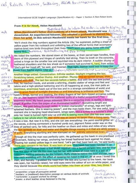 H Is For Hawk Annotated Extract Pdf