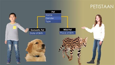 Abhishek Verma On Linkedin Java Hibernate Tutorial Programming