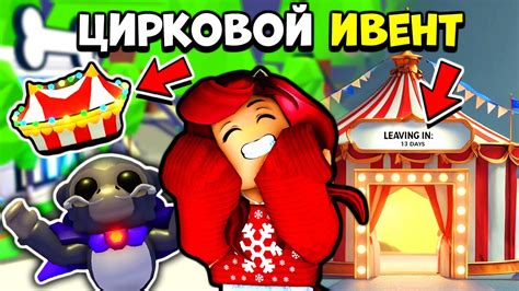 Как ПОЛУЧИТЬ НОВЫХ ЦИРКОВЫХ ОБЕЗЬЯН в Адопт Ми Когда Цирковая Обнова Adopt Me Roblox Youtube