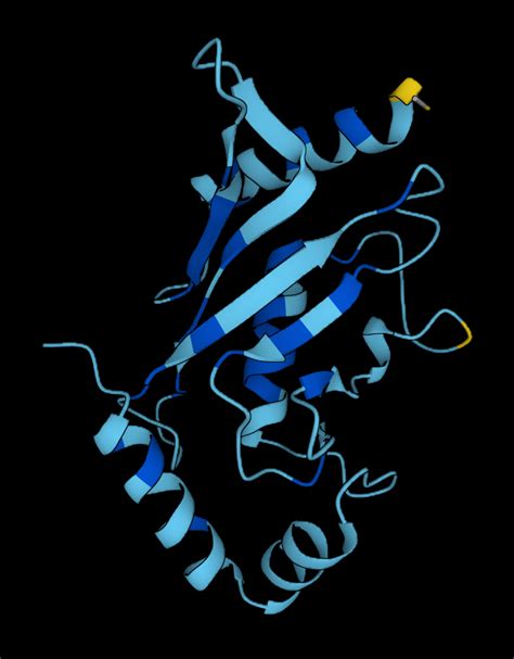 Esm 2 For Generating And Optimizing Peptide Binders For Target Proteins