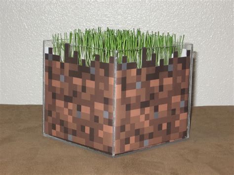 Minecraft Block In Real Life With Live Grass Rminecraft