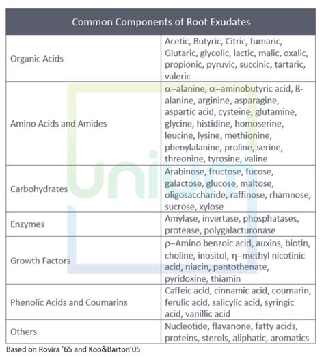 Root Exudates Unium Bioscience Limited